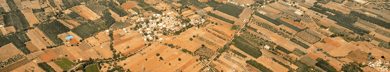 Dharavi to be divided into 12 sectors for redevelopment project