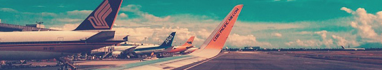 AAI to construct a Greenfield airport in Nellore