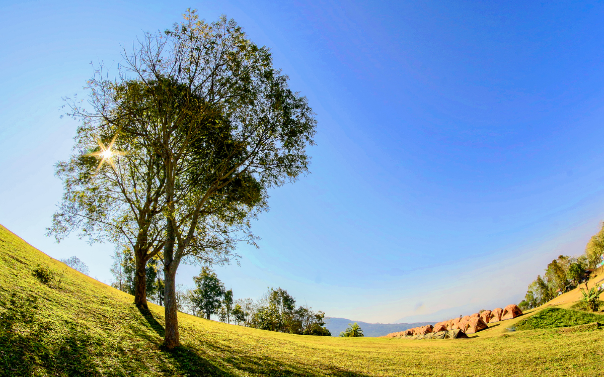 MP Bhulekh land records: View Khasra, Khatauni, Bhunaksha online