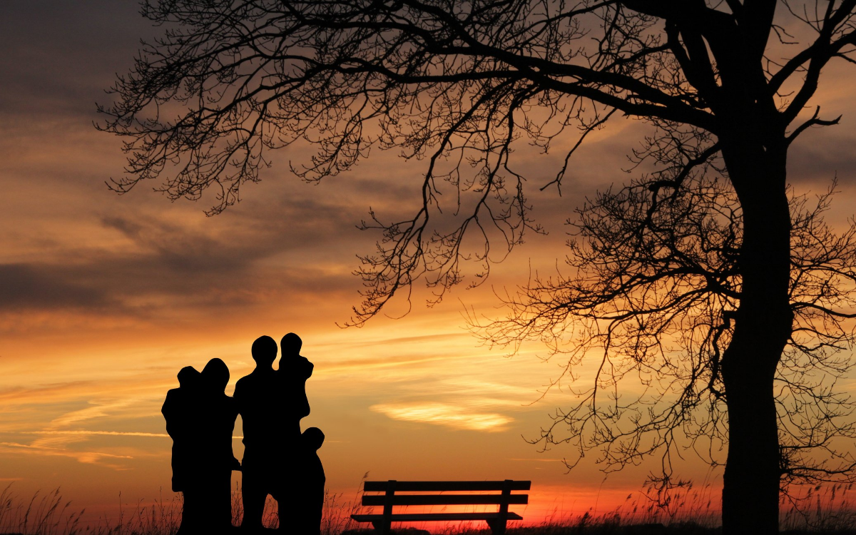 What is Coparcener: Legal Rights, Share In Ancestral Property