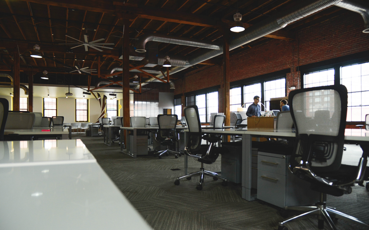 How to earn from your commercial investment (2024)?