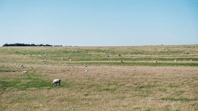 Gomala Land: Meaning, Use & Government Grants