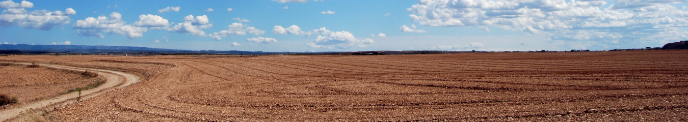 Telangana Govt. plans to resume Layout Regularisation Scheme