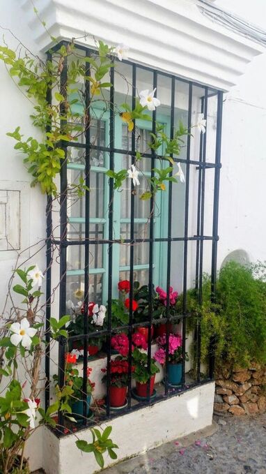 Window Grill Designs (With Photos): 20+ Designs For Indian Homes (2024)