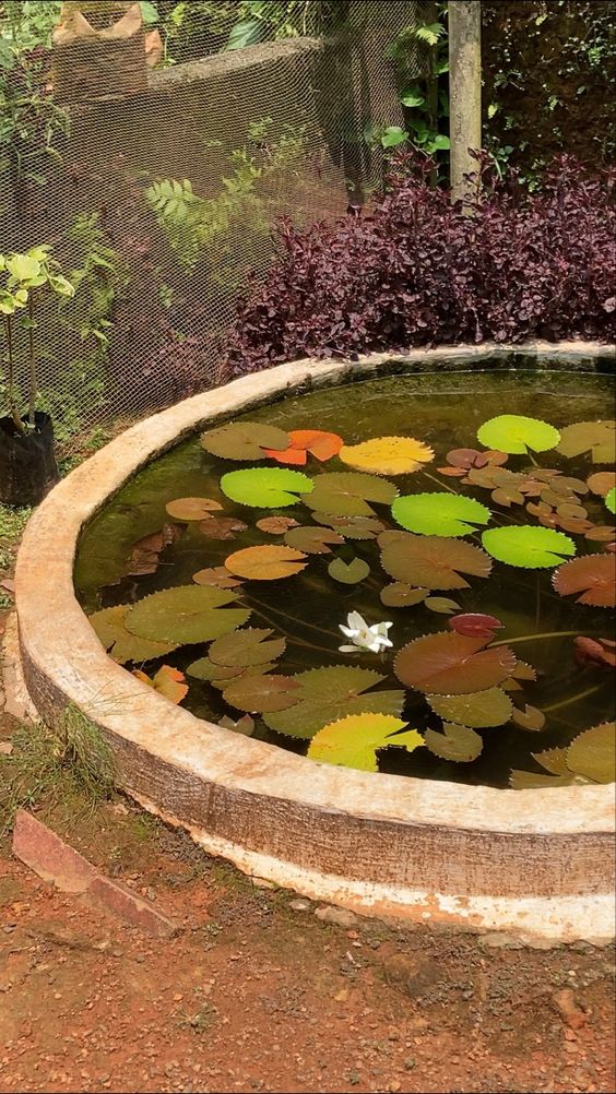 60+ Kerala House Designs Trending in 2024: Traditional and Modern Look