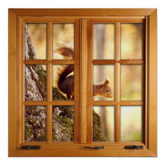 Wooden Window Design: 30+ Ideas to explore when choosing windows for ...