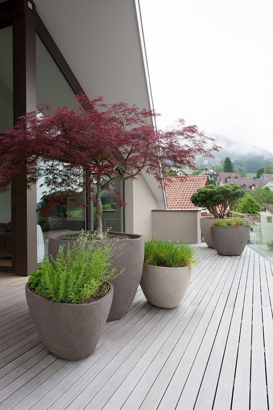 35+ Flower Pot Designs To Beautify Your Green Space in 2023