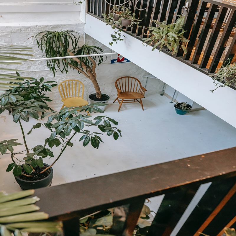 25+ Low Maintenance Indoor Plants for Bedroom For Cleaner Air, Better Sleep