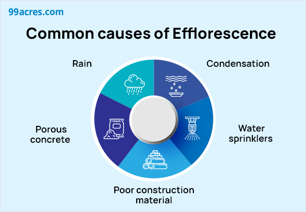 Efflorescence in construction: Meaning, Causes, Types and Treatment