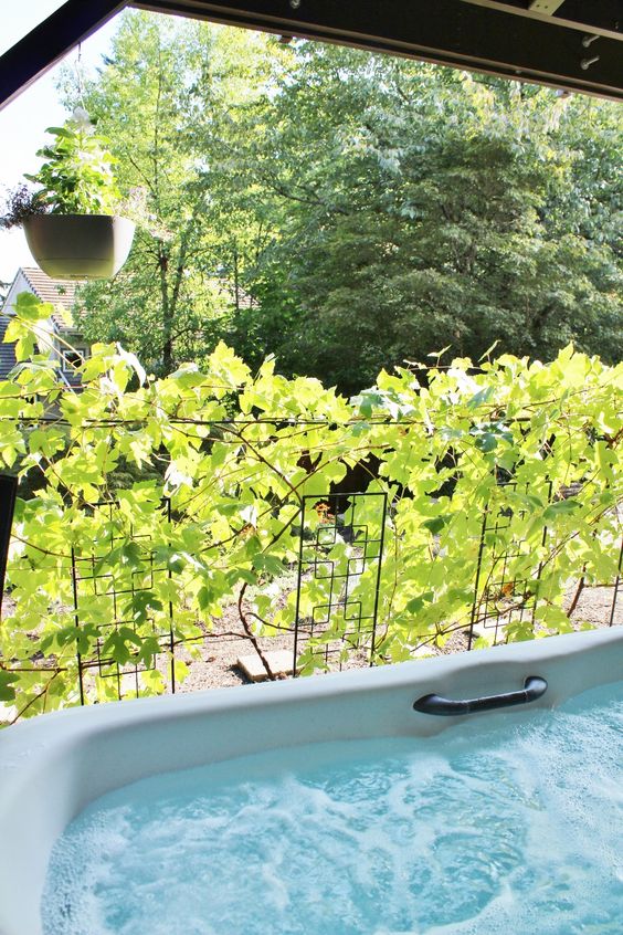 Patio Decor: 50+ Ways to Make Your Outdoor Space Stand out